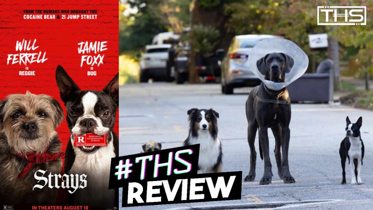 Strays - Don't Think About It Too Much, Just Laugh [Review]