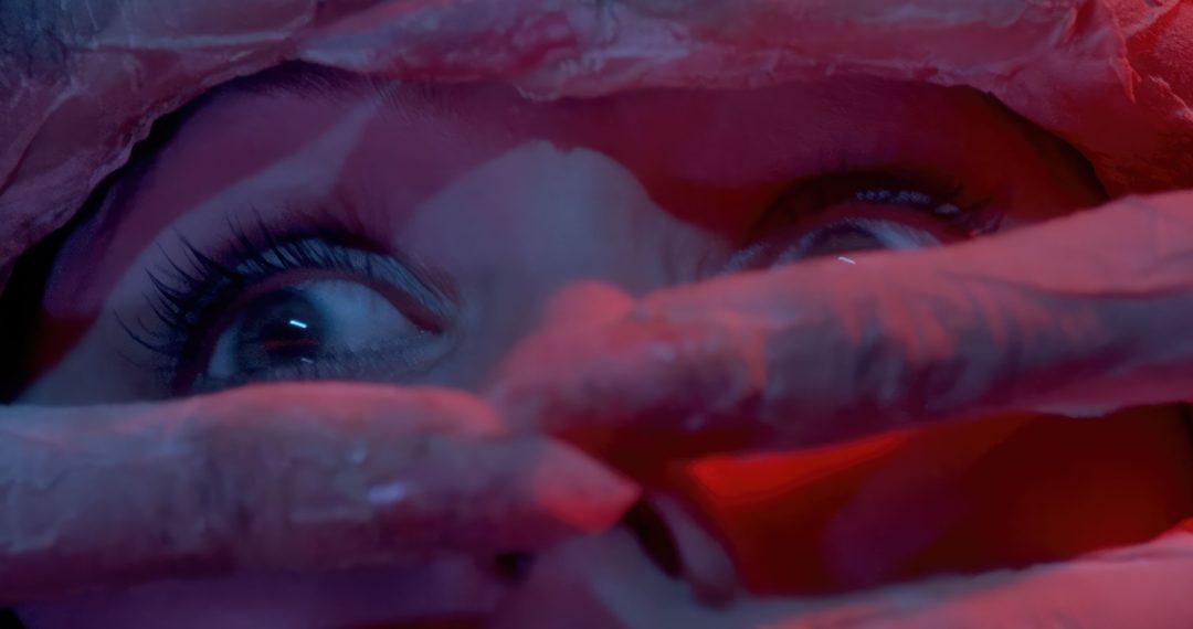 'Dario Argento Panico': A Cinematic Love Letter Celebrating Italian ...