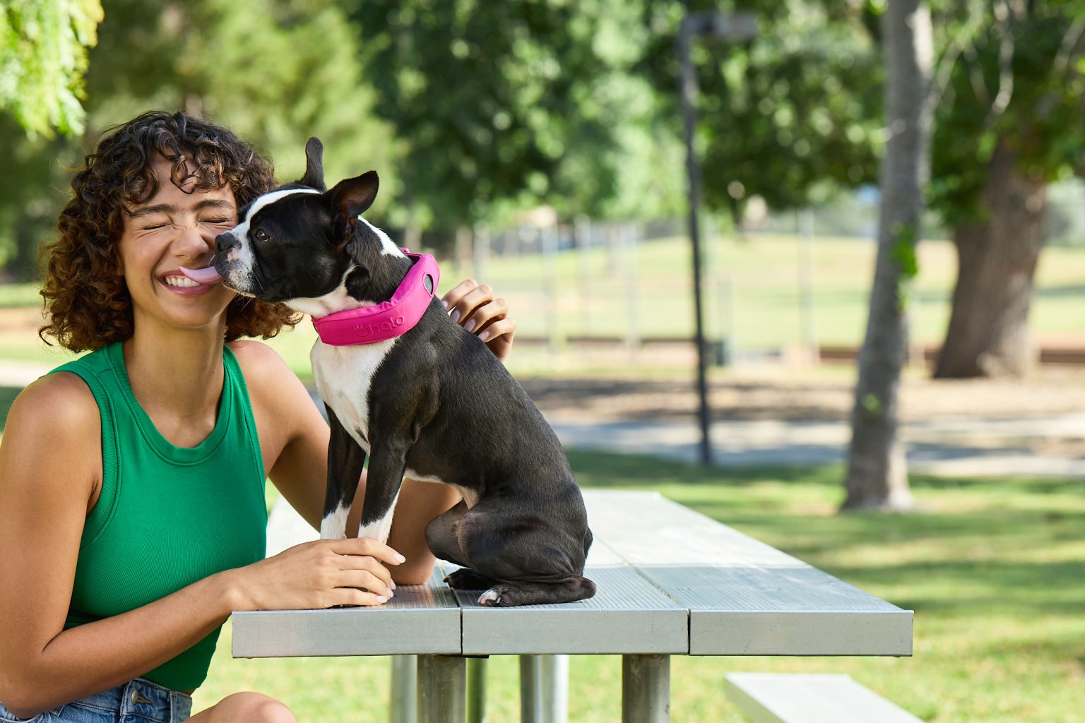 Cesar Millan Celebrates 20 Years On TV & The Halo Collar 4 | THS ...